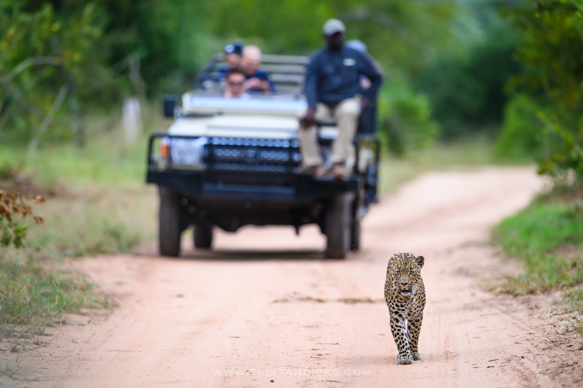 Vehicles vs Hiking boots - Wandering Thru