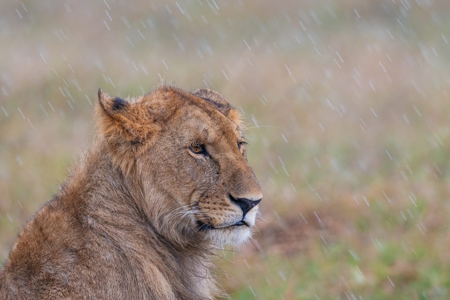 Africa’s Rainfall - Wandering Thru