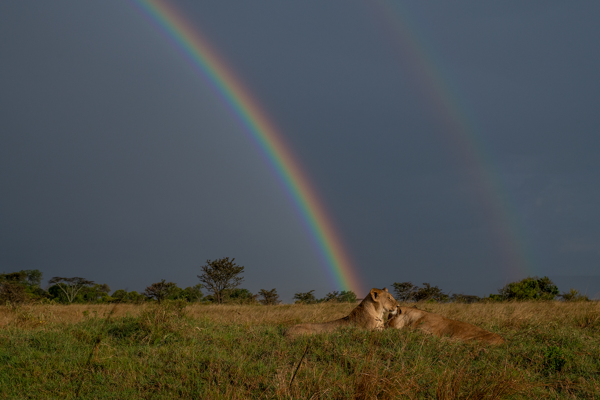 Africa’s Rainfall - Wandering Thru